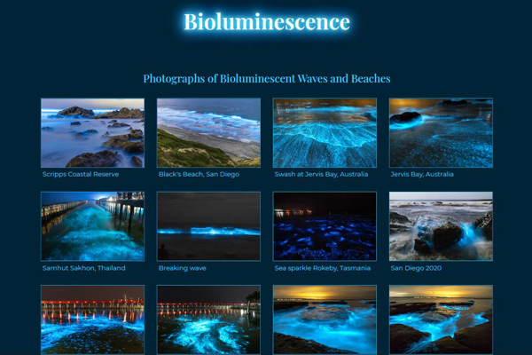 Portfolio of Linnea Wigren